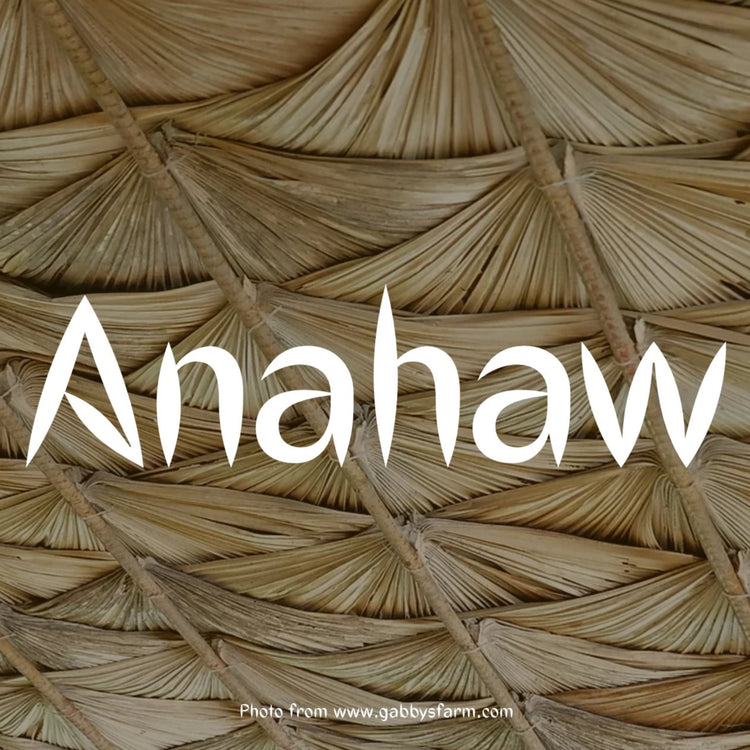 Anahaw – Hanken Design Co.
